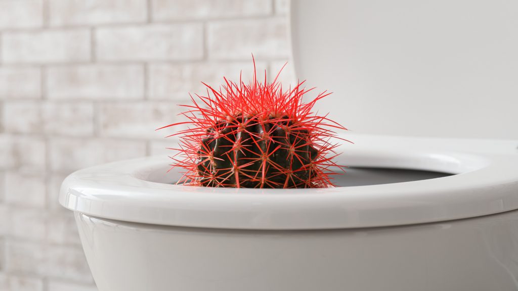 Haemorrhoids/Piles - The Gut Clinic UK